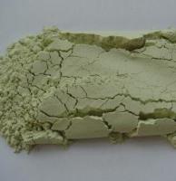 China Pure Natural Dried Wasabi Powder 100-120 Mesh for Sushi Seasoning with HALAL FDA Certification for sale
