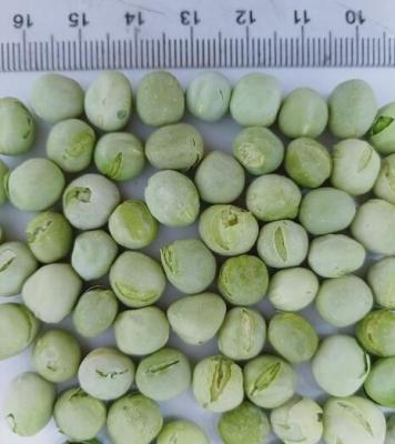 China Dehydrated Green Peas Whole 8% Moisture Max Instant Food Ingredient HALAL FDA for sale