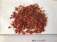 China Half Cut Sun Dried Tomatoes 9x9mm Air Dehydrated 20kg Carton Bulk for sale