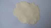 China Natural Color Roasted Garlic Powder 120 Mesh 8% Moisture for B2B Export for sale
