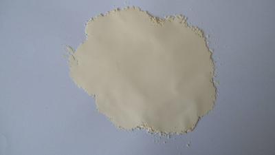 China Natural Color Roasted Garlic Powder 120 Mesh 8% Moisture for B2B Export for sale