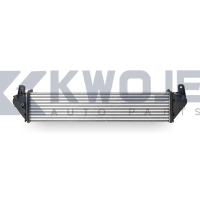 China Automotive Cooling Systerm Intercooler Tank Auto Evaporator Cooler 302000140AA For Chery Auto Spare Parts Exeed LX for sale