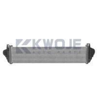 China Automotive Cooling Systerm Intercooler Tank Auto Evaporator Cooler 302000800AA For Chery Auto Spare Parts Exeed RX for sale