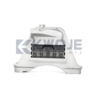China 206000611AA Car Engine Mount Assembly SUSPENSION CUSHION-RH For Exeed RX for sale