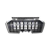 China OEM  EXEED M36T Radiator Grille In Car 602002294AA for sale