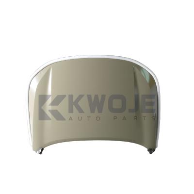 China OE 509000117AADYJ Auto Spare Parts Auto Parts Engine Cover T1C for EXCEED LX for sale