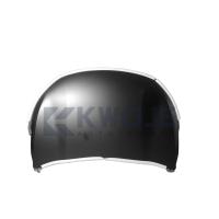 China OE 509001922AADYJ  Car Engine Hoods Parts for EXCEED TXL for sale