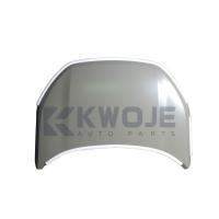 China OEM F20-8402010 Auto Spare Parts Engine Hood For Jetour X90 Plus for sale