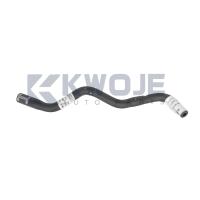 China OEM 302002312AA ENGINE GAS HOSE ASSEMBLY For Jetour L6 for sale