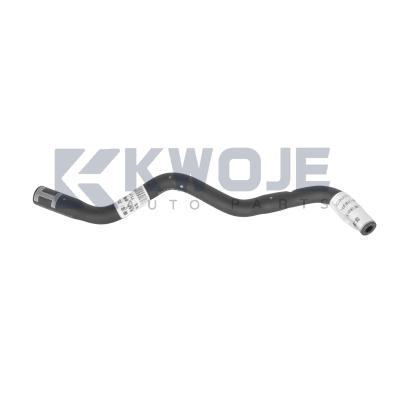 China OEM 302002312AA ENGINE GAS HOSE ASSEMBLY For Jetour L6 for sale