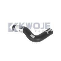 China OEM 302002325AA ENGINE PTC WATE ROUTLET PIPE ASSY  For Jetour L6 for sale