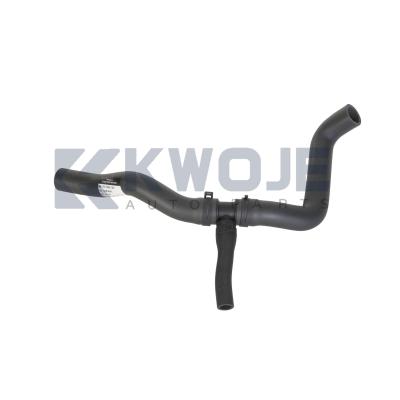 China OEM F01-1303211BA Auto Spare Parts Water Outlet Hose Engine For Jetour X70 for sale