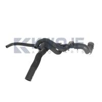 China OEM F26-1303111BA Car Cooling System WATER INLET HOSE-ENGINE For Chery Jetour Traveler for sale