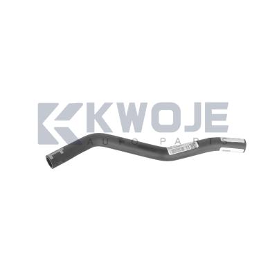 China OEM F26-1303419DA Auto Engine Parts HEATER OUTLET HOSE For Chery Jetour  T2 for sale