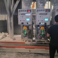 China Customized 25kg Paper Cement Packing Machine Pouch Type for Dry Mortar Gypsum Wall Putty Tile Adhesive Bagging for sale
