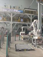 China Large-scale Tile Adhesive Putty Powder Production Factory Dry Powder Mortar Production Line for sale