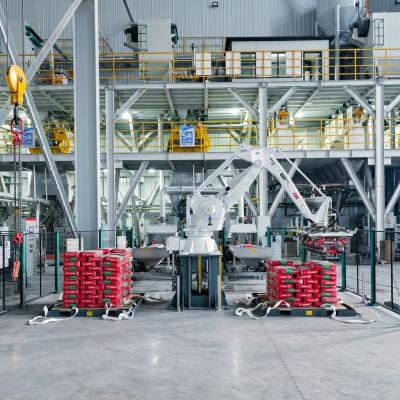 China Automatic Masonry Mortar Production Line Dry Mix Plaster Plant Factory Price Ready Mix Powder Mortar Manufacturing Machine for sale