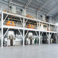 China Full Set Automatic Dry Powder Mortar Production Line Turnkey Solution Tile Glue Plant with Robot Palletizer & Packing Machine for sale