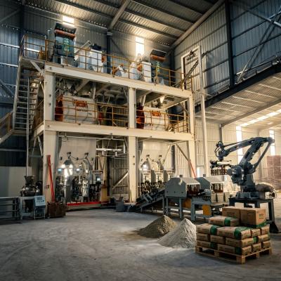 China ISO CE Certified Automatic Dry Mix Mortar Plant Reliable Ceramic Tile Adhesive Production Line Professional Mixing Equipment for sale