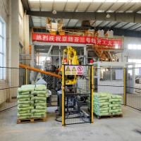 China Comprehensive Automatic Dry Mortar Production Line with Valve Bag Packer & Robot Palletizer for Professional Mortar Factory for sale