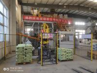 China Tower Type Space Saving Automatic Dry Mortar Production Line Vertical Tile Glue Mixing Plant with Double Shaft Mixer Unit for sale