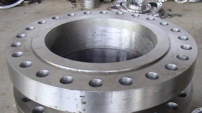 China Steel Flanges RF SS304 for sale