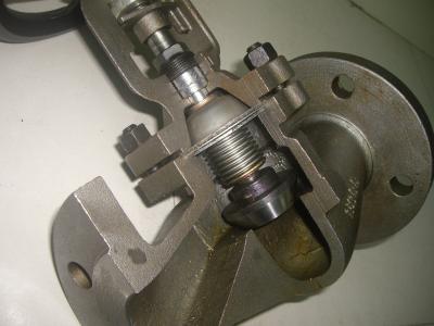China Bellows Sealed Carbon Steel Flanged Globe Valve 2
