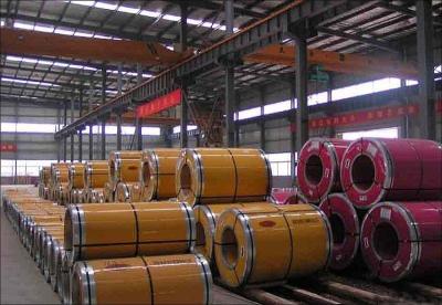 China JIS SUS EN GB DIN Standard Hot Rolled Stainless Steel Coil ASTM A240 316L 309S 310S 430 for sale