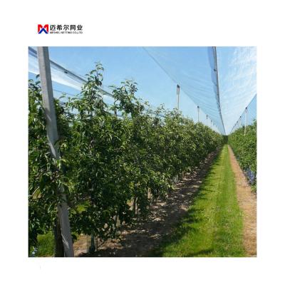 China Protect your gardens apple trees and agricultural crops with Hail Net made from 100 percent virgin HDPE high density netting cloth for sale