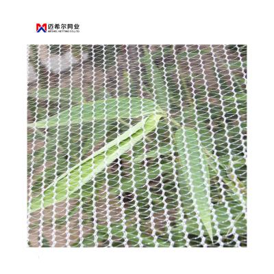 China High Density Anti Hail Netting Cloth For Gardens Apple Tree Hail Protection Netting for sale