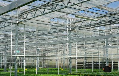 China 65% Horticultural Greenhouse Shade Netting Cloth Shade Screen greenhouse energysaving for sale