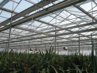 China 65% Greenhouse Shading Material Reflective Sun Shade Tarp Thermal Screen for sale