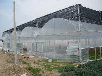 China Outdoor Plant Nursery HDPE Shade Netting Horticultural Agro Sun Protection 80% for sale