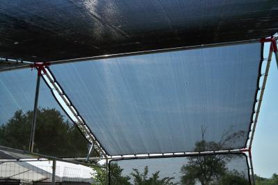 China 135gsm Green HDPE Shade Net 50 75 90 For Nursery Terrace Garden Home Balcony for sale