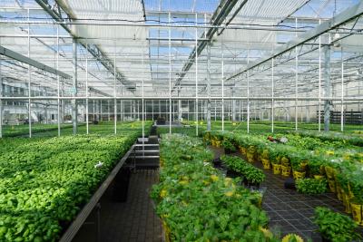 China Greenhouse Shade Net Aluminet Shade Cloth energy saving shade screen for sale