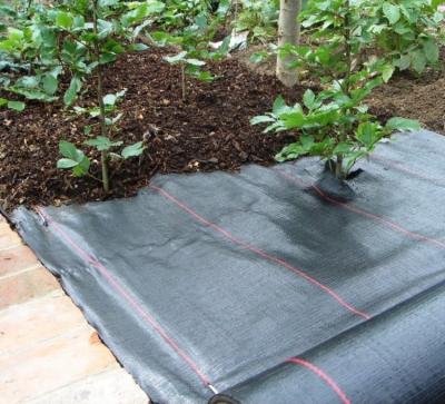 China 100gsm Flower Bed Weed control Matting for sale