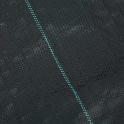 China High Density Polypropylene Geo Fabric Weed Matting Barrier In Raised Garden Bed for sale