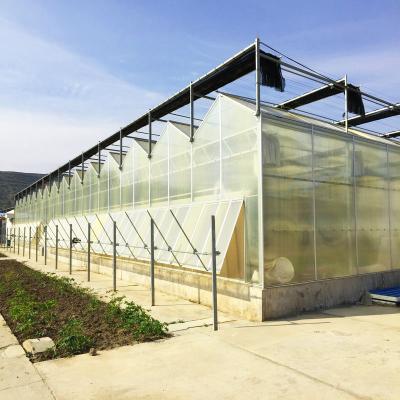 China Black Nursery Agro Shade Net Heat Protection for sale