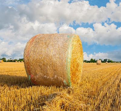 China 8.33GSM Bale Net Wrap Plastic Anti UV With Warning Line for sale