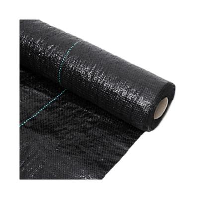 China Agricultural Greenhouse Plastic Mulch Fabric Weed Mat Landscaping Ground Cover for sale