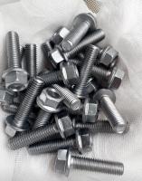 China 255 Acidic Zinc‑nickel Alloy Process Roll Plated Screws  Electroplated Washers Small Parts Boric acid-free and ammonium-free acidic for sale