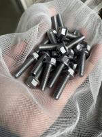 China 255 Acidic Zinc‑nickel Alloy Process Roll Plated Screws  Electroplated Washers Small Parts Boric acid-free and ammonium-free acidic for sale