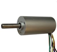China High-Speed 30000RPM Brushless DC Motor with Hollow Shaft 25mm for Precision Instruments and Medical Devices for sale