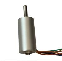 China High-Speed 30000RPM Brushless DC Motor with Hollow Shaft 25mm for Precision Instruments and Medical Devices for sale
