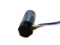China 25D370 25mm 6v 12v DC Spur Gear Motor  with 48CPR Encoder  for Robots for sale