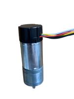 China 25D370 25mm 6v 12v DC Spur Gear Motor  with 48CPR Encoder  for Robots for sale