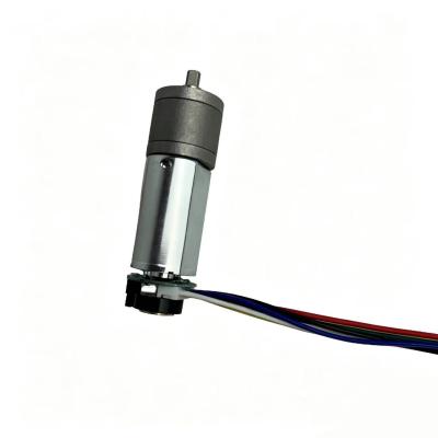 China 6v 12v Dc Gear Motor 20D-180SH 2.8kg.cm High Torque Micro Mini Small 20mm consistent torque output suitable for robotics automation and small scale machinery for sale