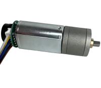 China 6v 12v Dc Gear Motor 20D-180SH 2.8kg.cm High Torque Micro Mini Small 20mm consistent torque output suitable for robotics automation and small scale machinery for sale