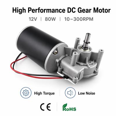 China 63mm 76mm low noise long lifetime High Torque 12V 24V Worm Gear Motor | 50W-120W DC Motor for Automatic Doors | CE & RoHS Certified for sale