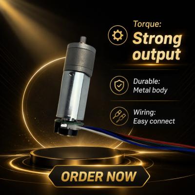 China 10W Rated Power 20mm Small Gear Motor Compact Durable Precision Gear Motor Suitable for Industrial Automation Applications for sale